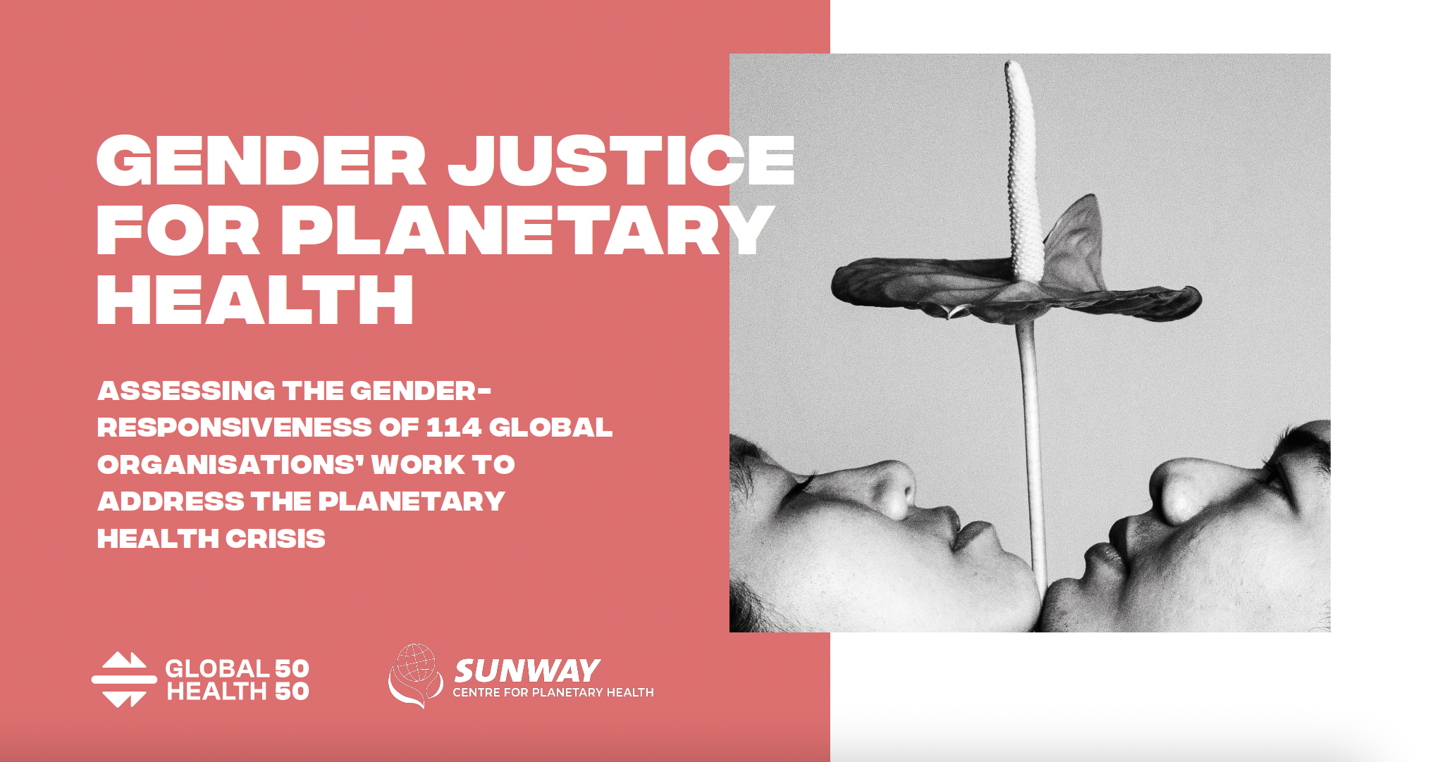 Out now! New GH5050 report on gender justice and planetary health ...